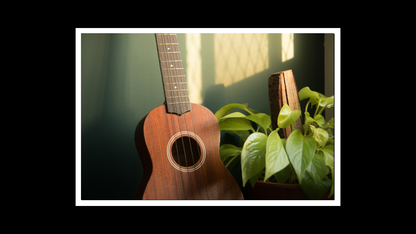 10 Fun Facts about Ukulele - Art Reveals